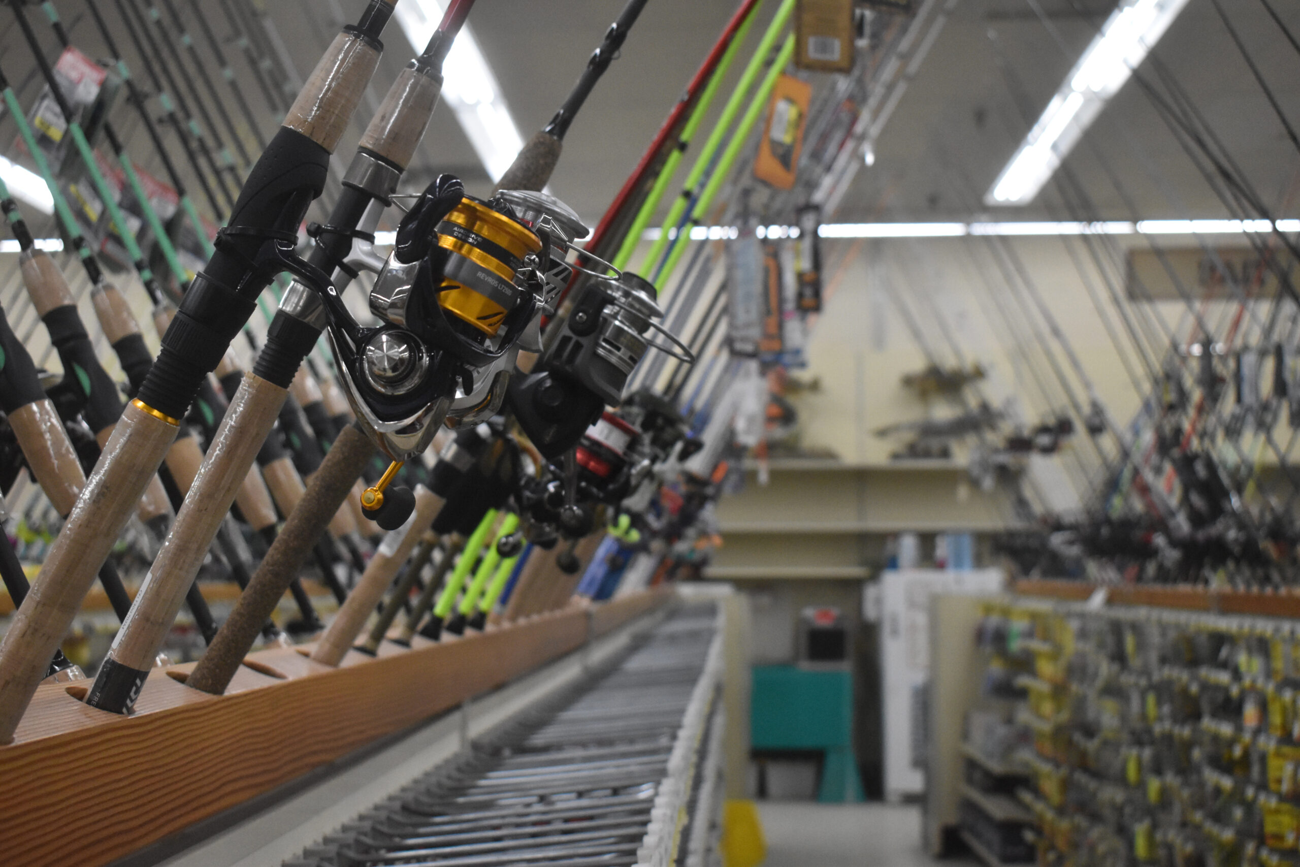 Anglers ready for 2025 fishing opener | News, Sports, Jobs - The Journal